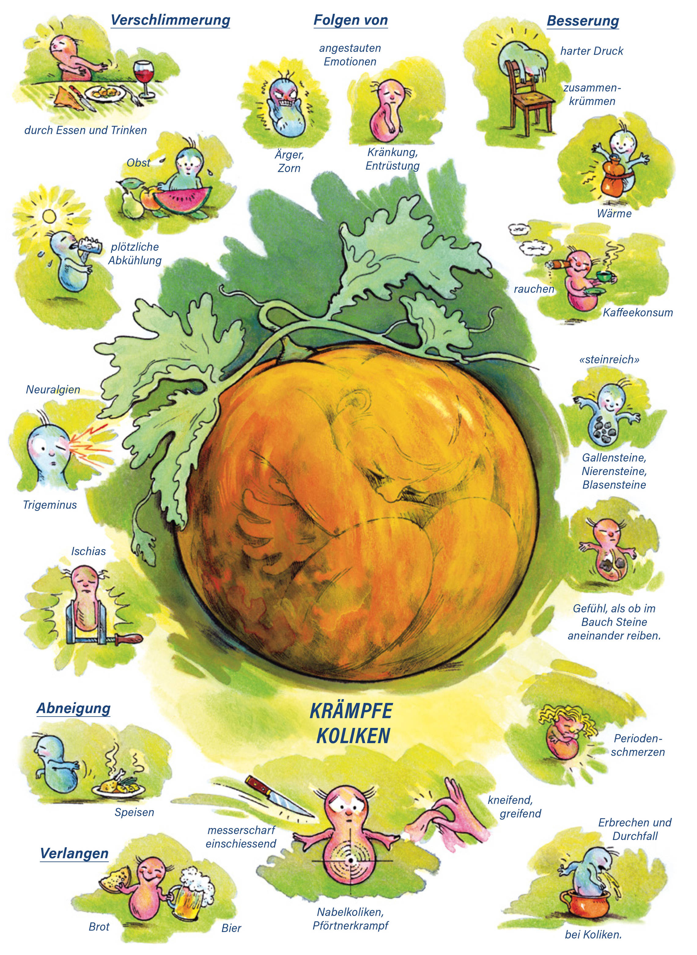 Colocynthis: die Koloquinte in der Homöopathie