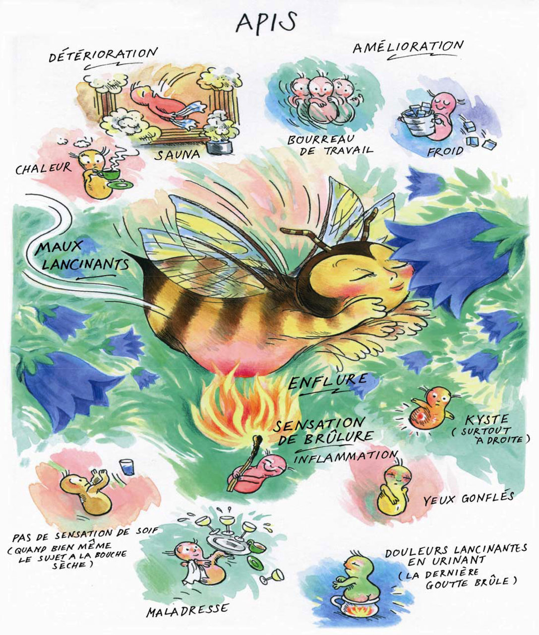 Apis mellifica: homéopathie en cas d’inflammation