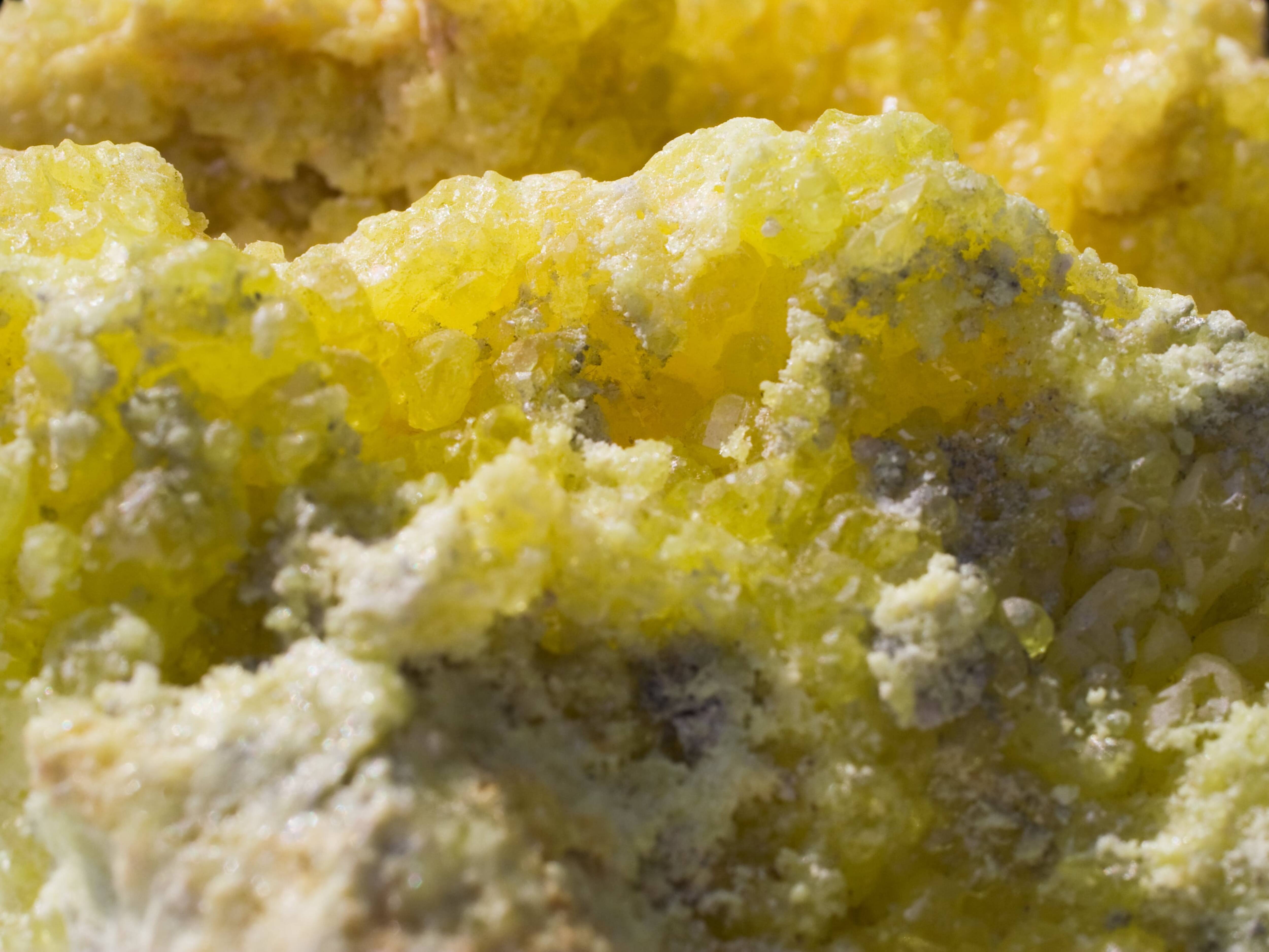 Sulfur: principi attivi nell’omeopatia